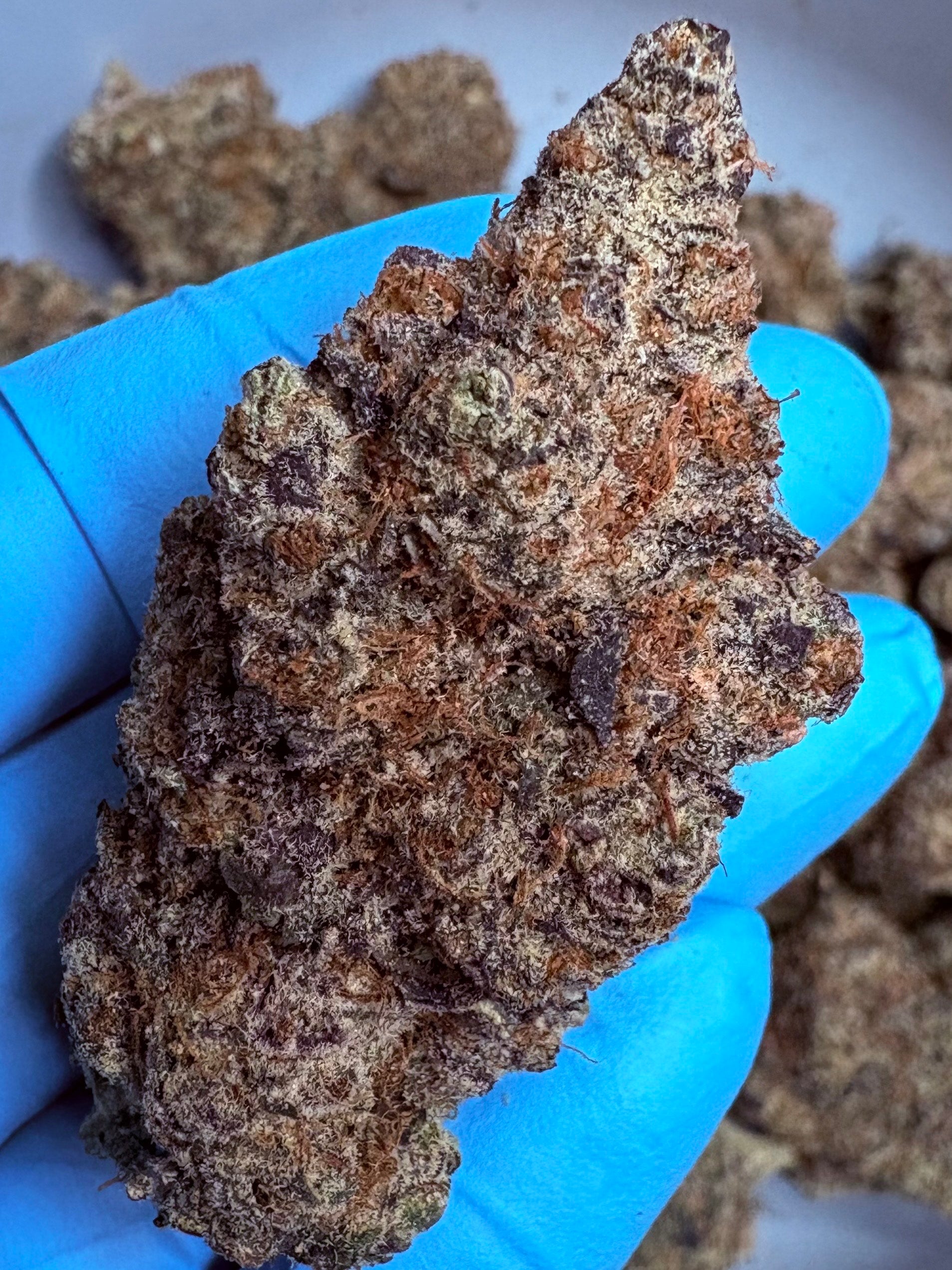 Tastemakers Indoor THCA Flower- White Rino- Indica – Blue Ridge Hemp