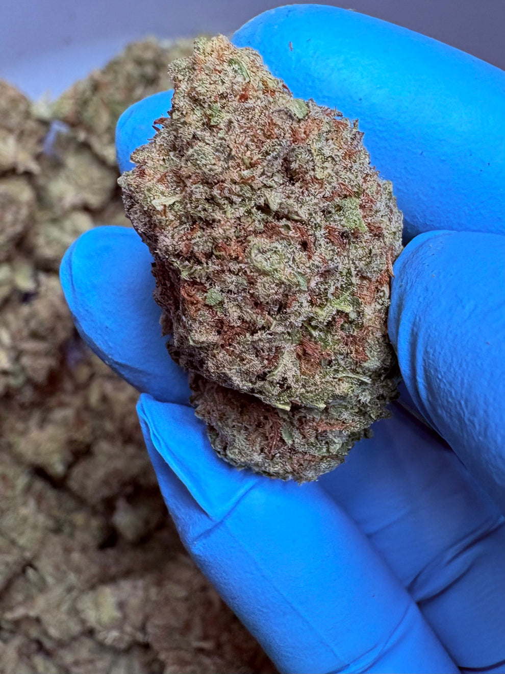 Tastemakers Hemp THCA Flower- Banna Acai- Hybrid – Blue Ridge Hemp